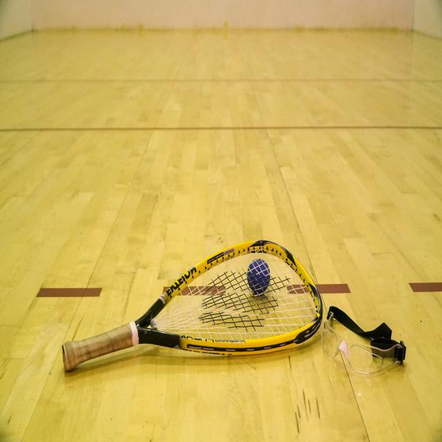 racket Object Detection Dataset by yolov8main1