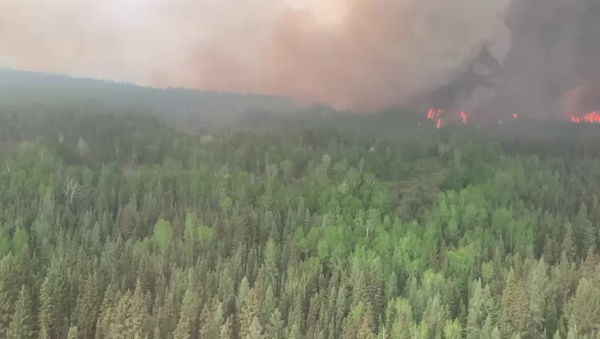 NAVLab_WildfireDetection_20230828 Object Detection Model by ConcordiaNAVLab