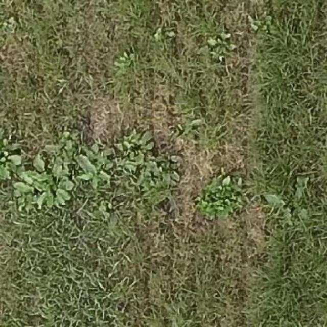 PAML (paml-dq3d2) - Roboflow Universe