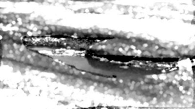 pothole detection 2 Instance Segmentation Dataset and Pre-Trained Model by utm