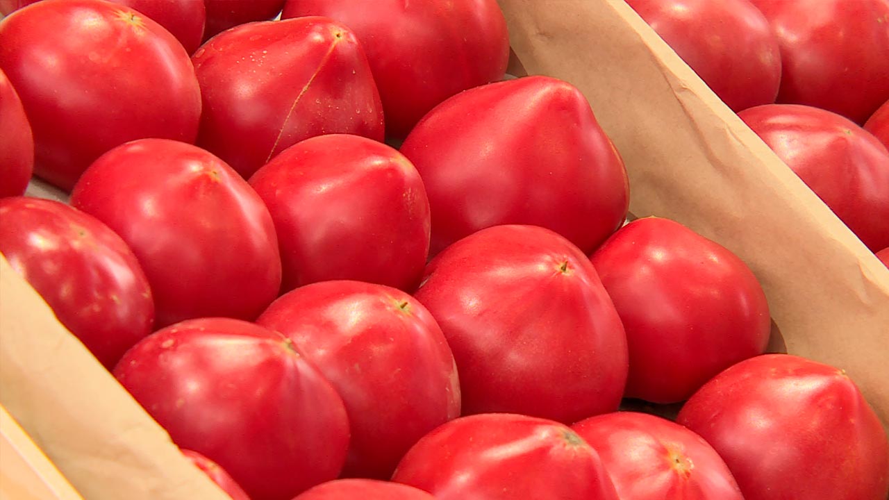 Tomato Detection Object Detection Dataset And Pre Trained Model By