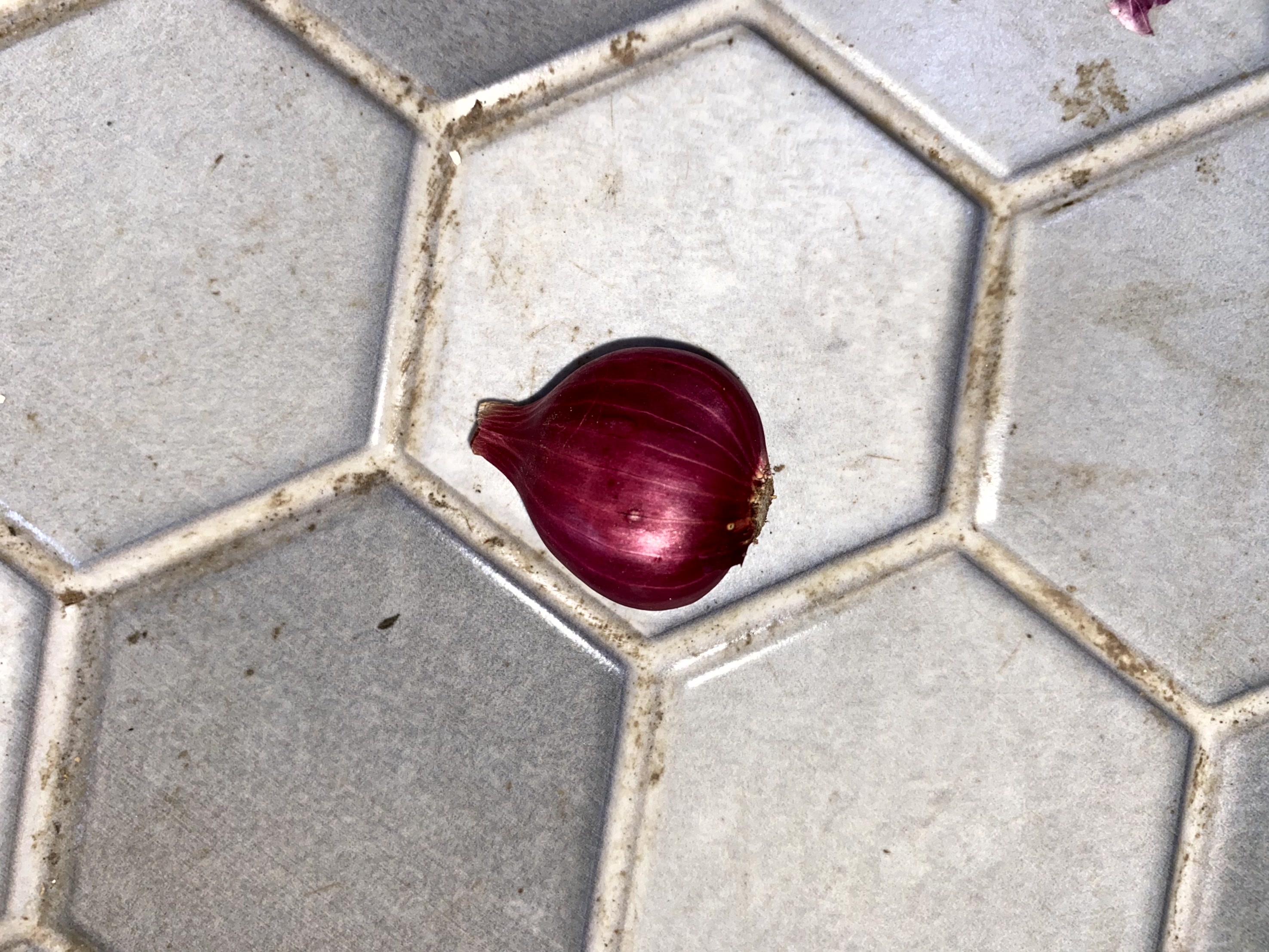 data analysis of onion Object Detection Dataset by kurtda