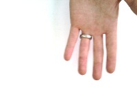 How to Use the palmistry Instance Segmentation API