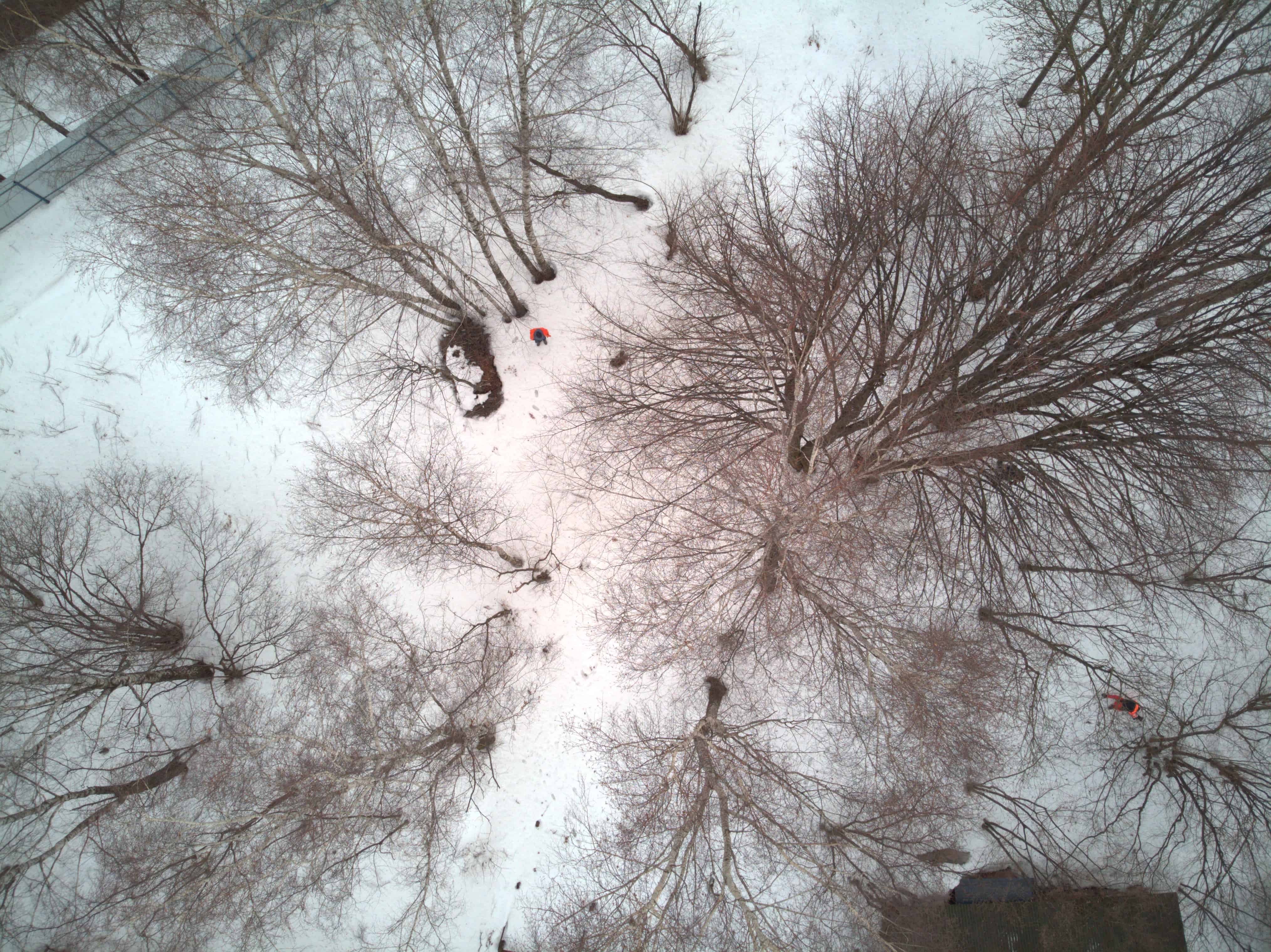 drone person detection Object Detection Dataset by SAR Detection Dataset