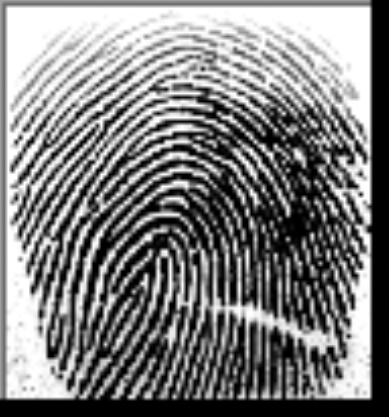 Finger Classification Dataset By Helix Lab