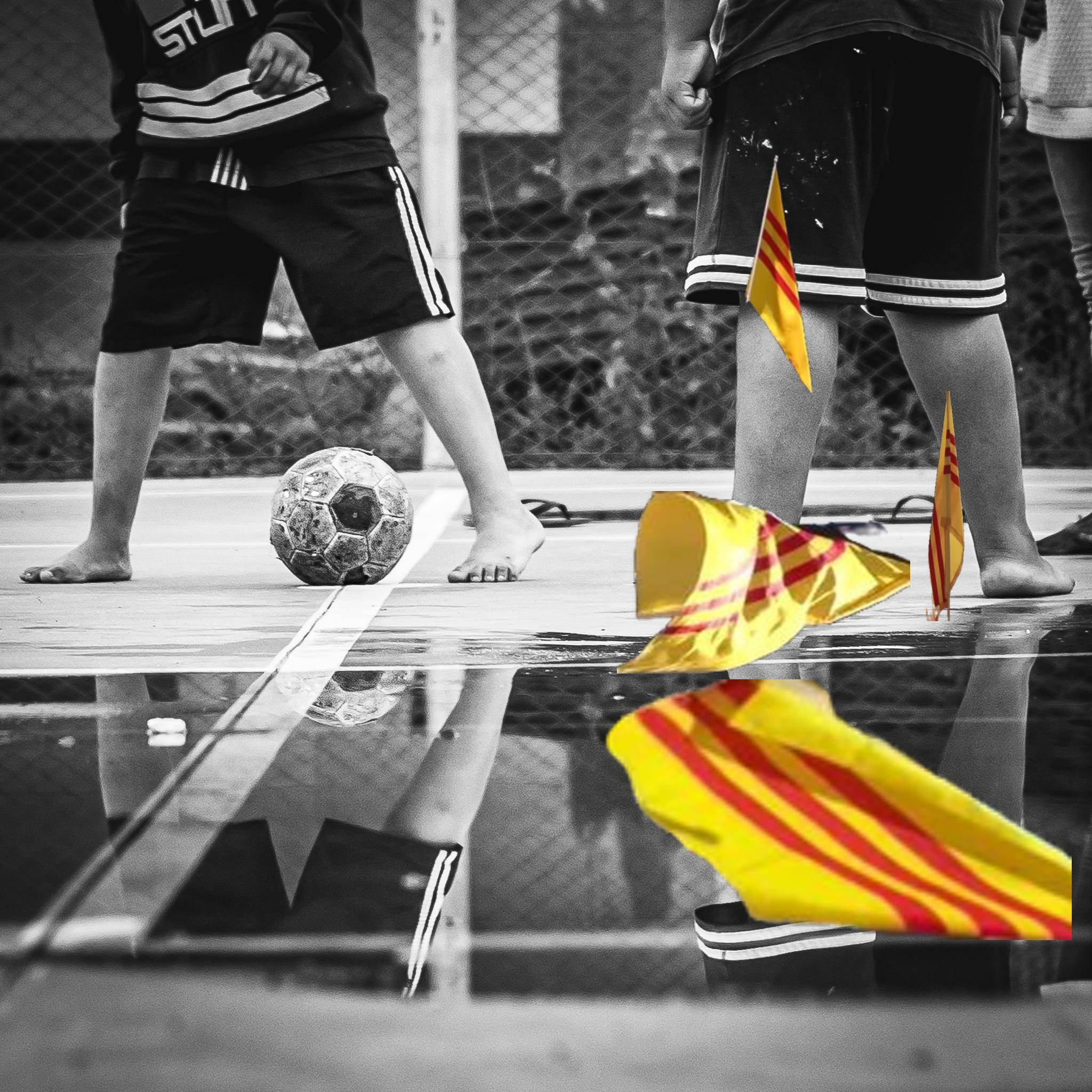 FlagHeritageCPAR Object Detection Dataset by MasterPlanSmartFilterContent