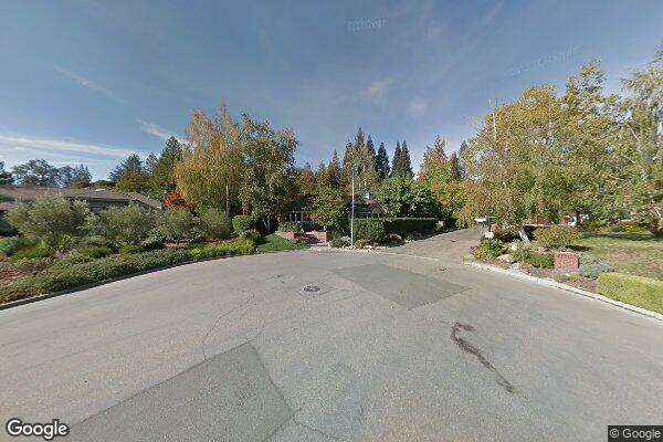 Streetview Trees Object Detection Dataset By Michael Antoun