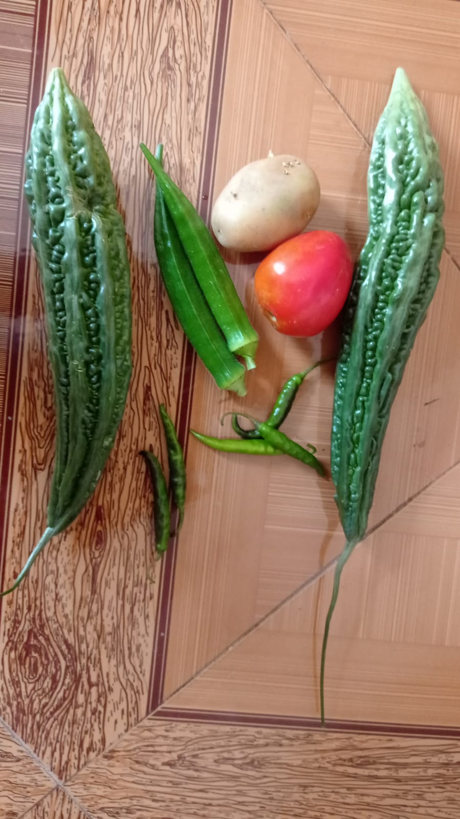 test-mix Object Detection Model by mixeddata