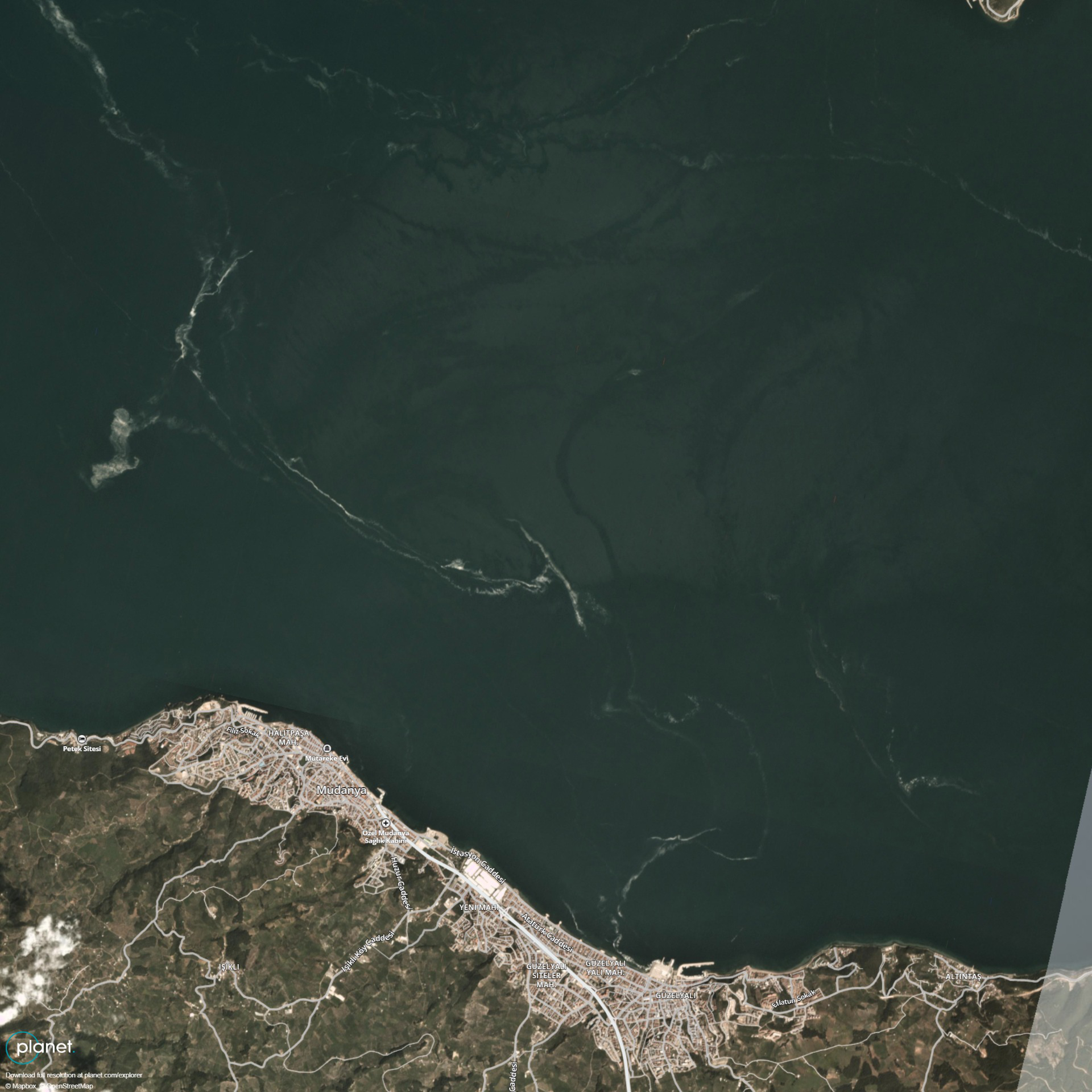 mucilage-od Object Detection Dataset and Pre-Trained Model by MUSTAFA ...