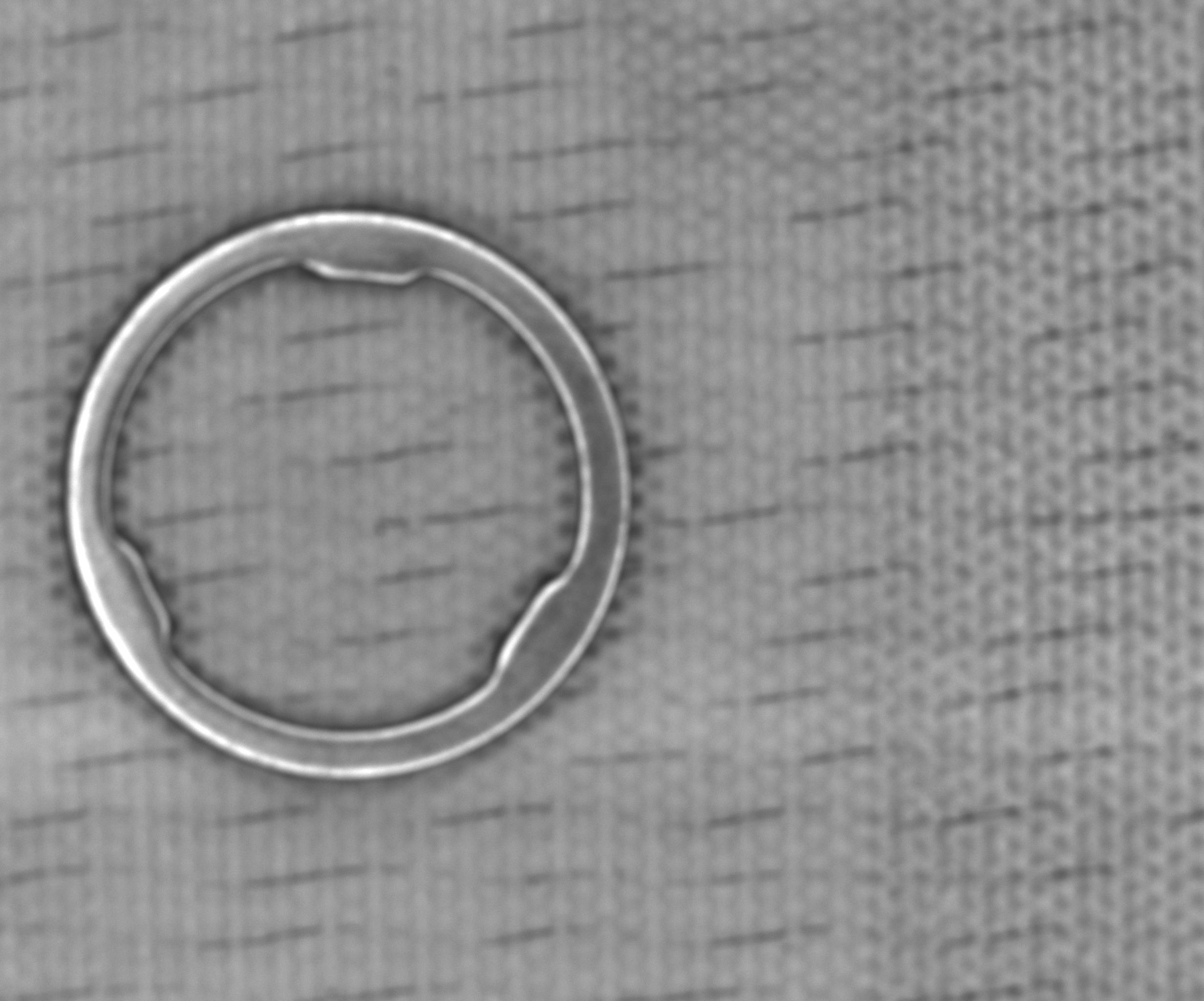 brass_ring_detection Object Detection Dataset by datasettrain