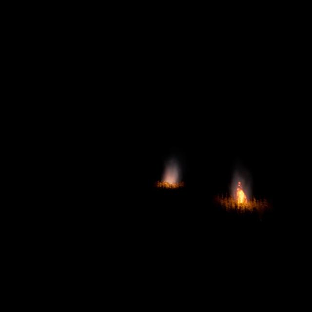 Forest Fire Object Detection Dataset by testec01