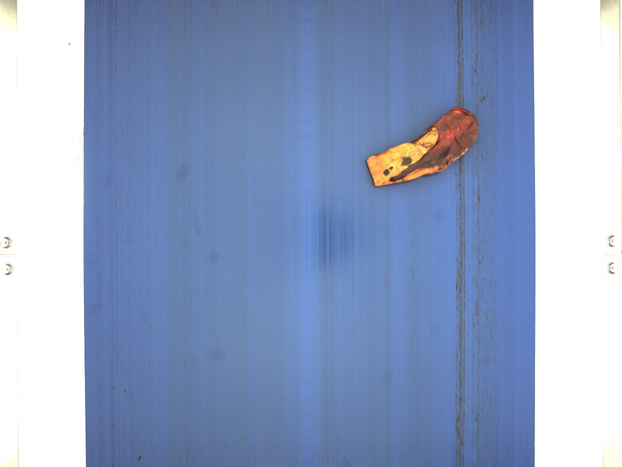 rotten_pepper Instance Segmentation Dataset by pepperclass6