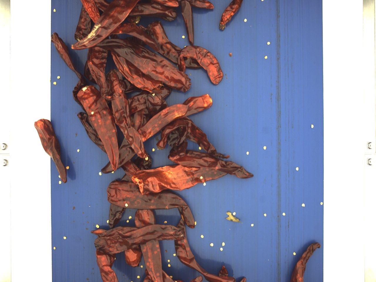 rotten_x_dataset Instance Segmentation Dataset by pepperclass6