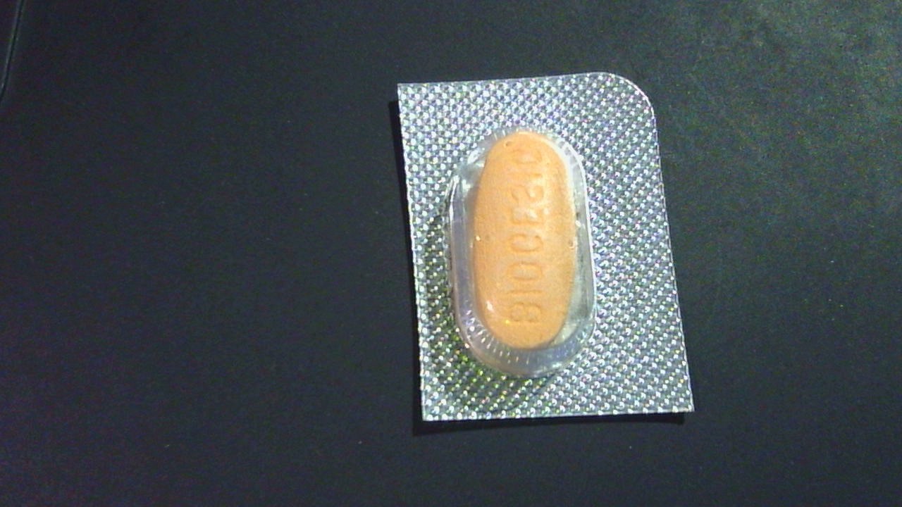 Bio_Deeetect Instance Segmentation Dataset and Pre-Trained Model by trialbiogesic