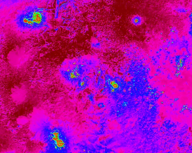Infrared Dataset Object Detection Dataset By Css2test