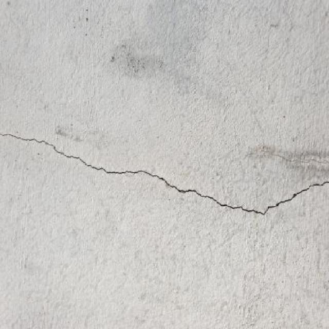 shadyar zhir v9 segmentqtion Instance Segmentation Model by tius last itep