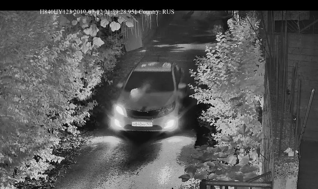 Car license plates dataset Object Detection Model by neopoleones
