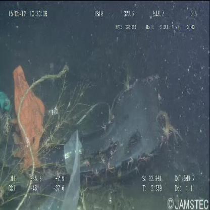 valid Object Detection Dataset by darknet to COCO