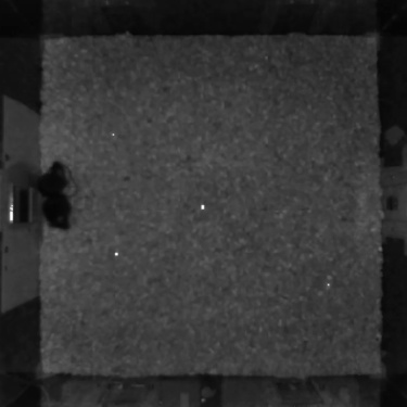 instance segmentation SC Instance Segmentation Dataset by mice