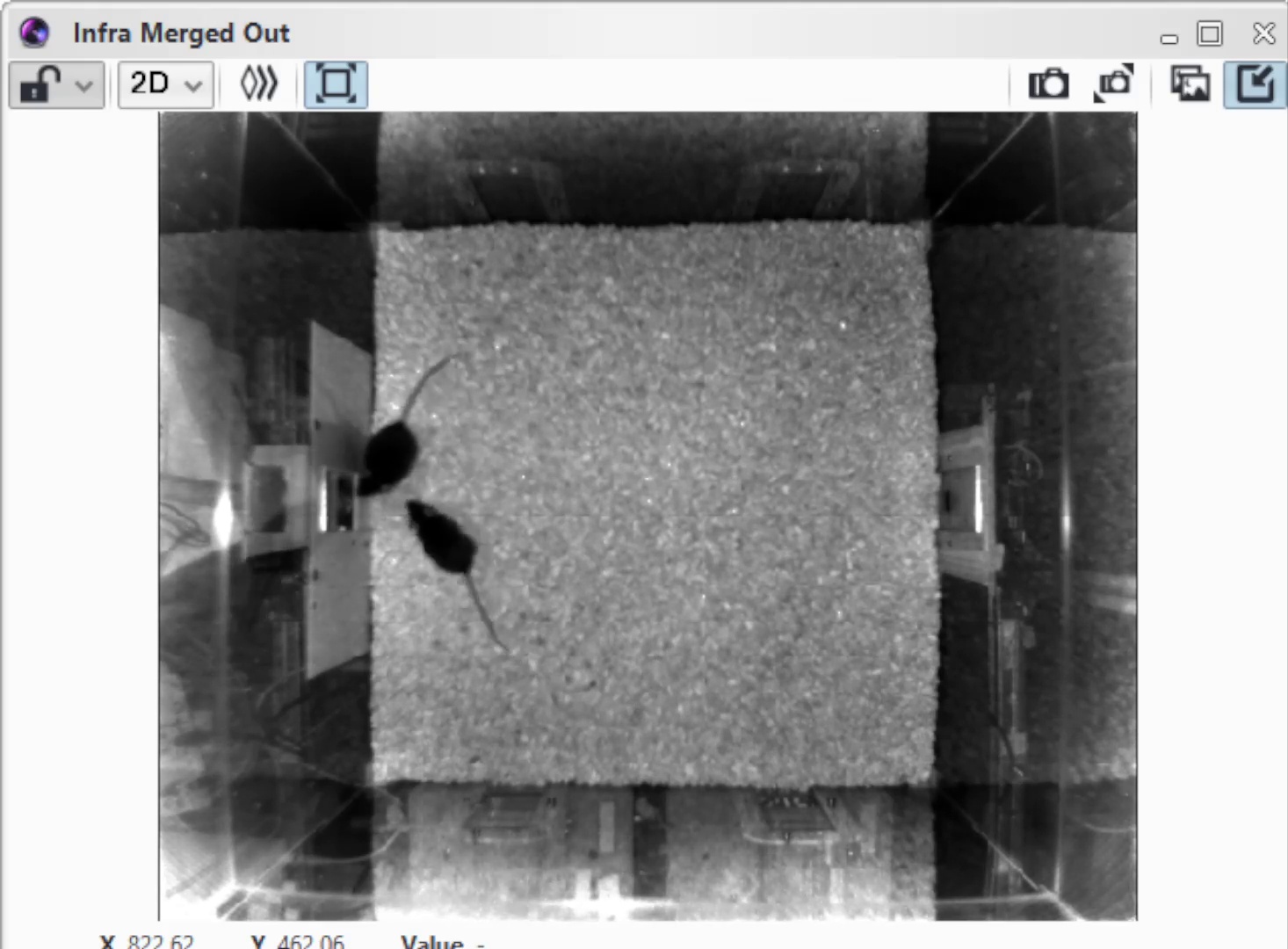 Mice Object Detection Model by mice