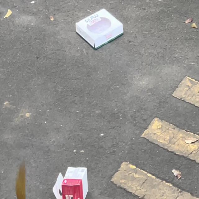 Garbage (garbage-jlhjq) - Roboflow Universe