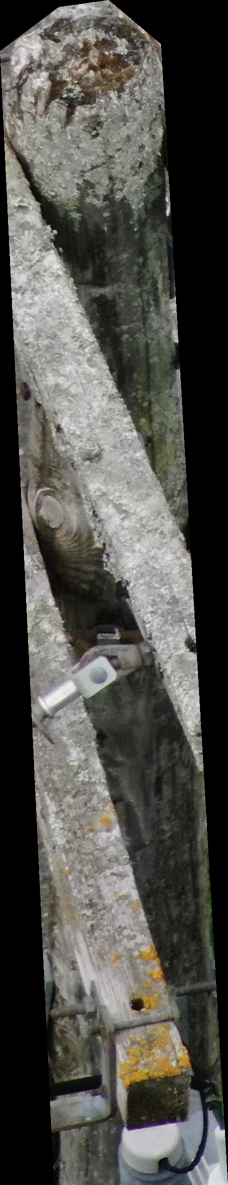 electrical_pole_identification Instance Segmentation Dataset by gshiva5@live.com