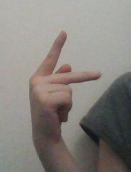 signes-hand Object Detection Model by Hand Detection