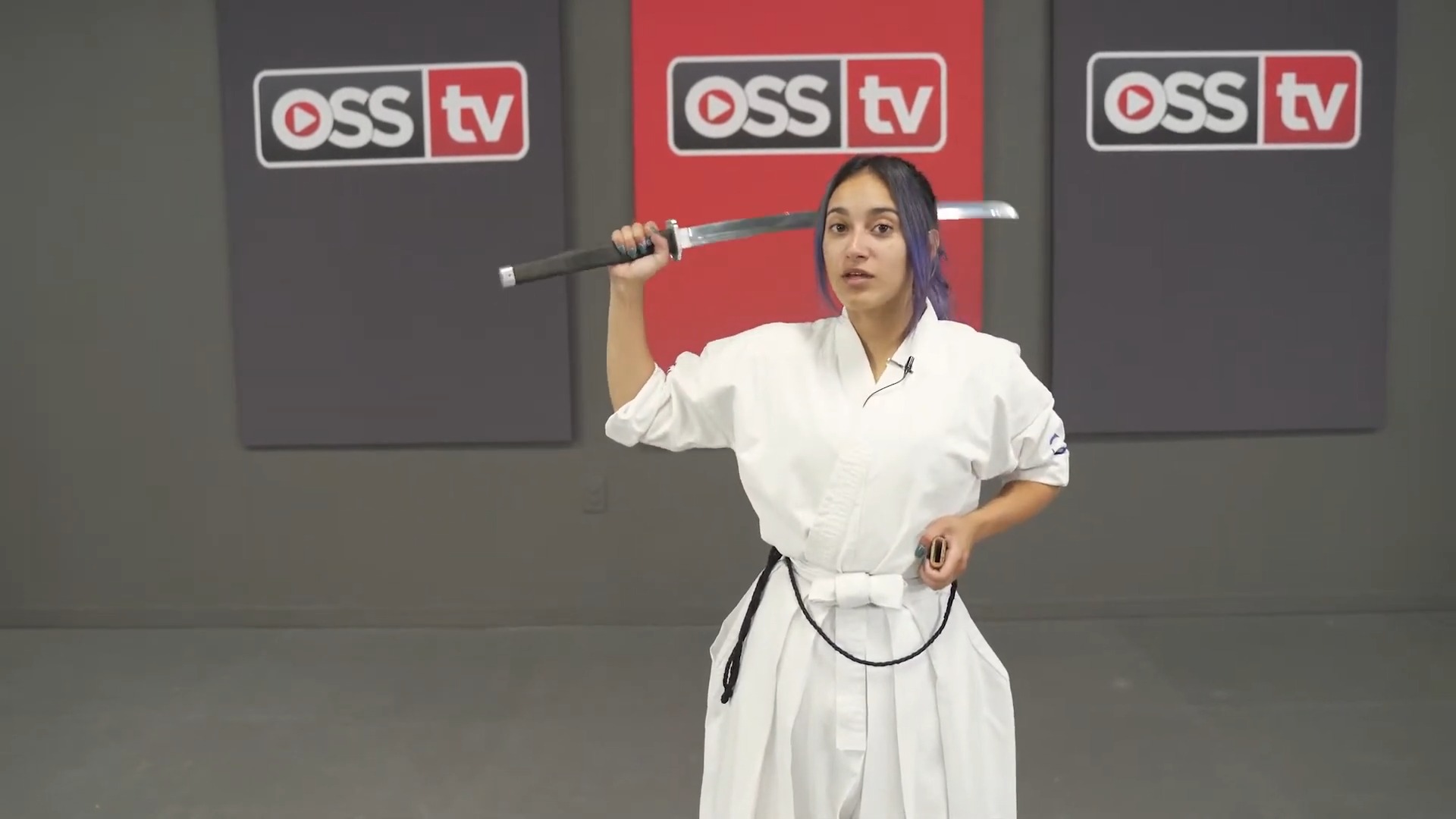 weapon2 Object Detection Dataset by weapon