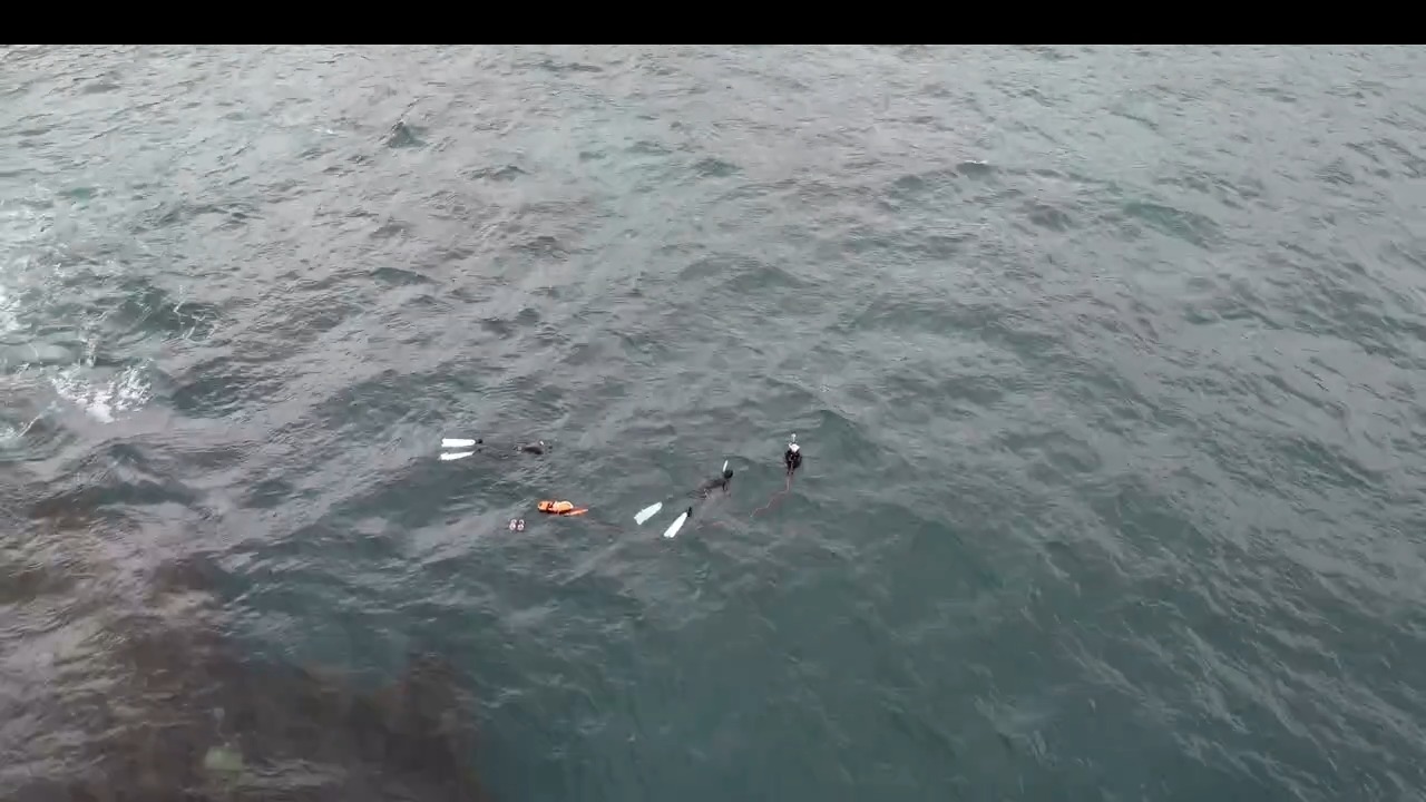 Drowning detection Object Detection Dataset by RMIT University