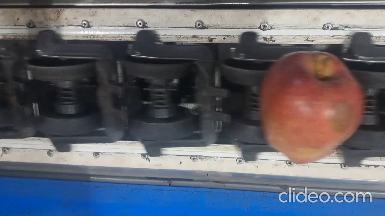 conveyor_apple_sorting Object Detection Dataset by fruitgradechecking