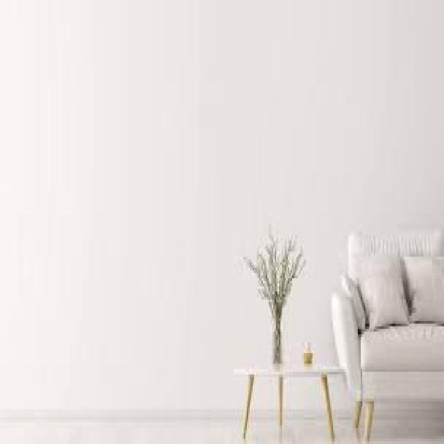 Mould Detection Single Label Object Detection Model V12 Phase 1 Yolov11 By Research Placement