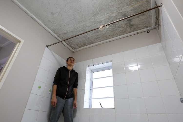 Mould Detection Single Label Dataset And Pre Trained Model By Research Placement