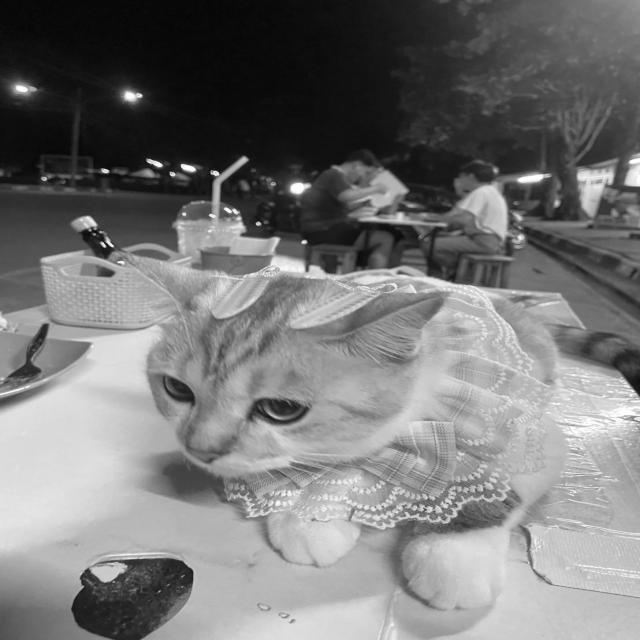 yarb - Roboflow Universe