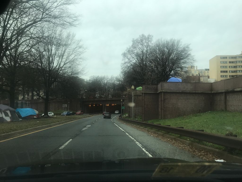 Homeless_dc Classification Dataset by HomelessDC