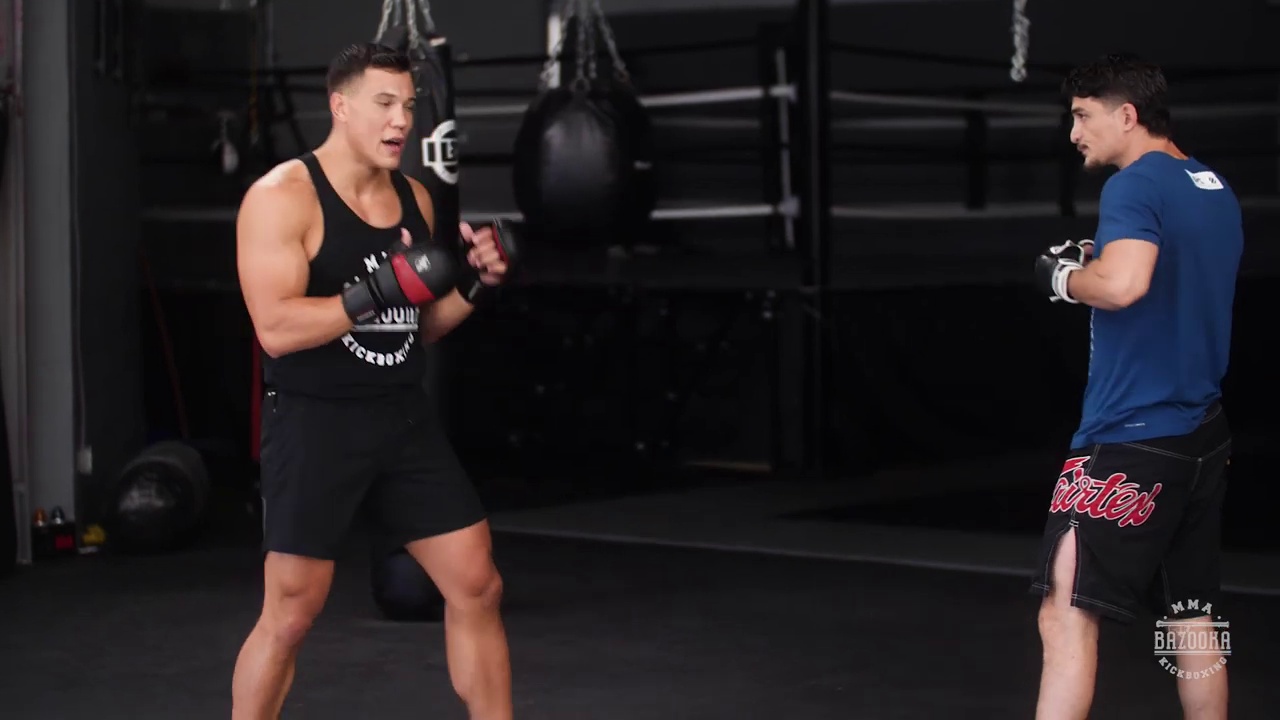 kick and punch detection Object Detection Dataset and Pre-Trained Model ...