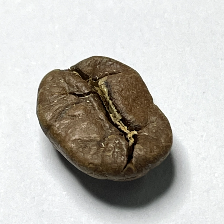 Project 1 Object Detection Dataset by Wasgita