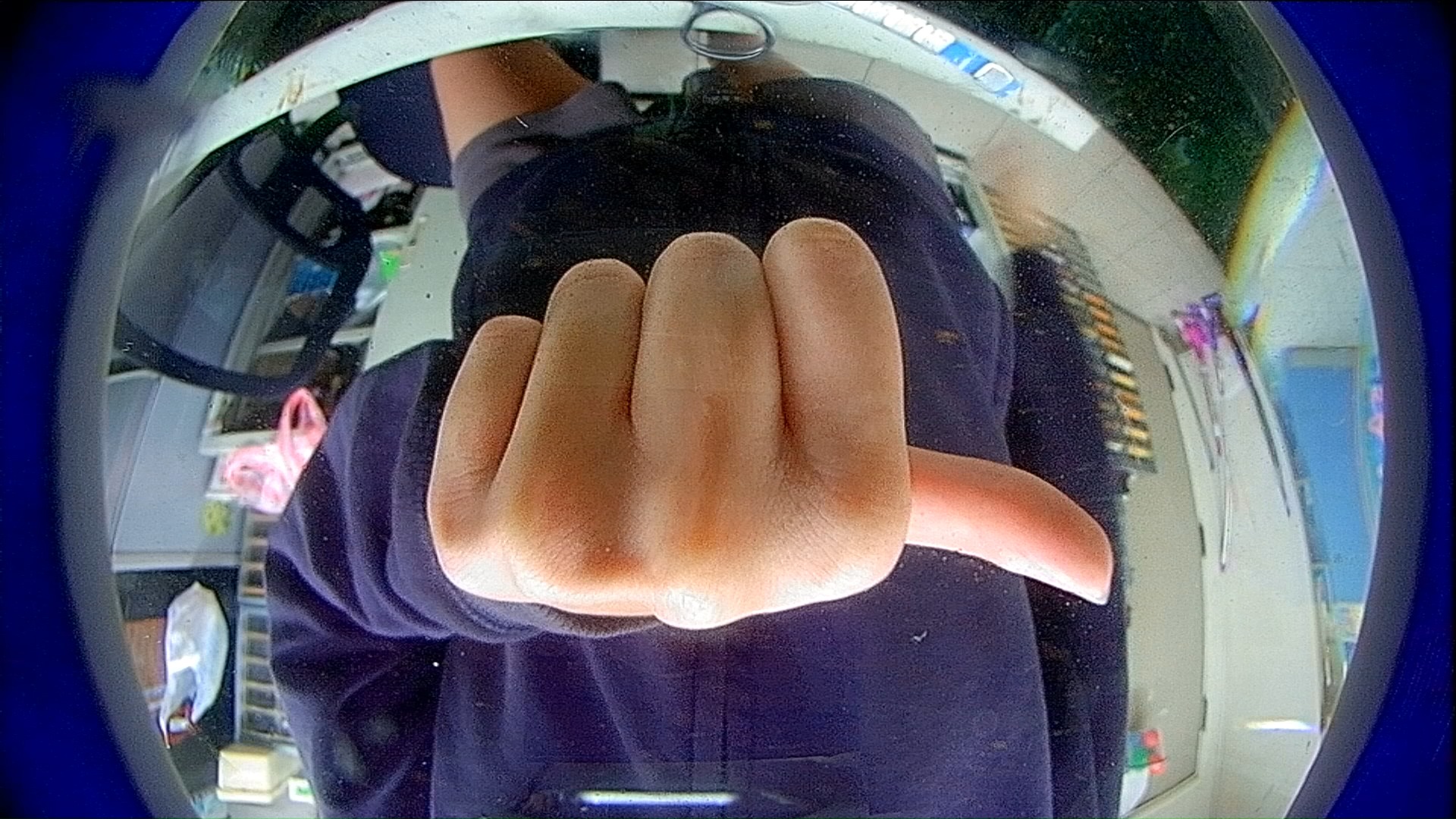 hand Object Detection Model by fisheyes