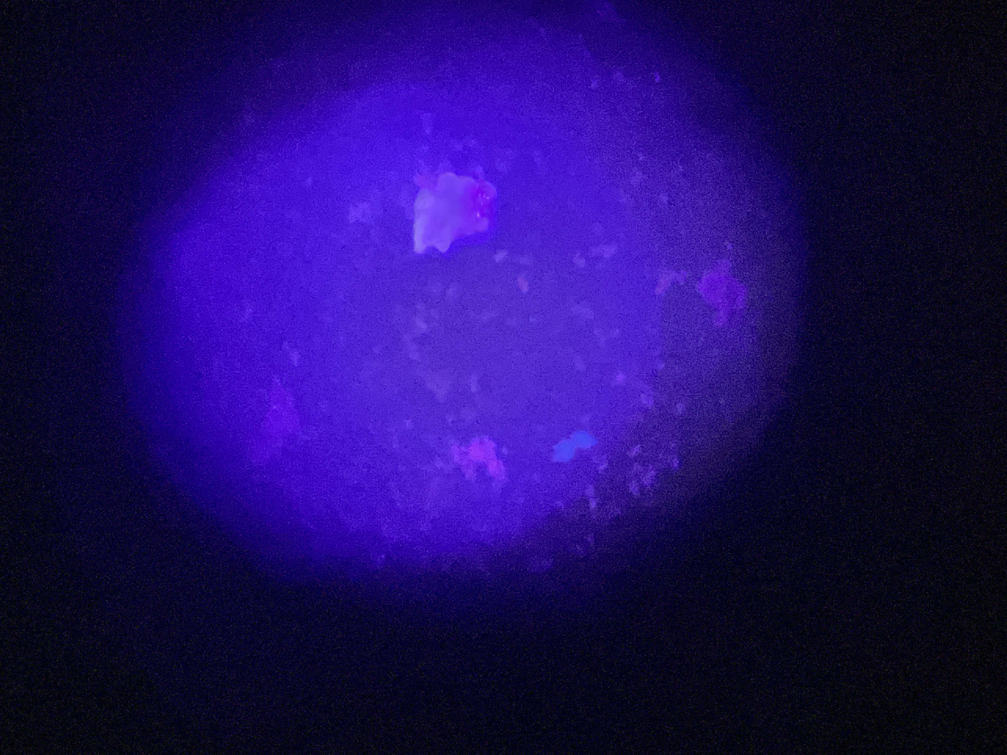 Micro Plastic Instance Segmentation Model by Project machine learning