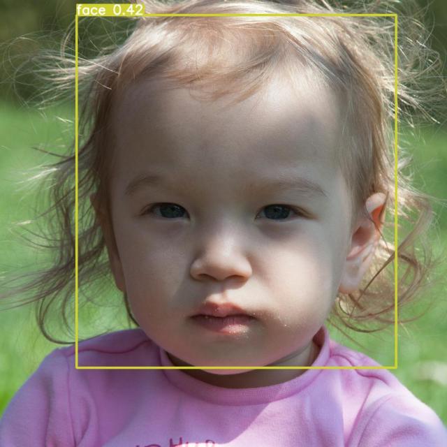 Face Detection Object Detection Dataset By Tugaskelas