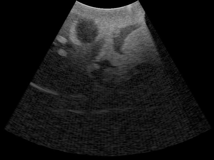 medigit - Roboflow Universe