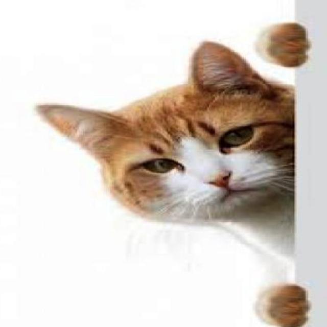 Ejercicio clase Object Detection Dataset and Pre-Trained Model by U Bosque