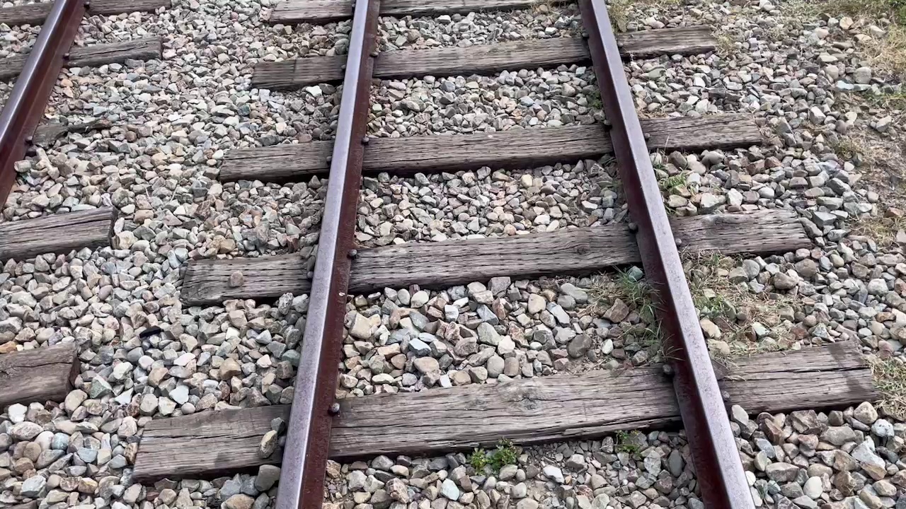 SCI lab - Roboflow Universe