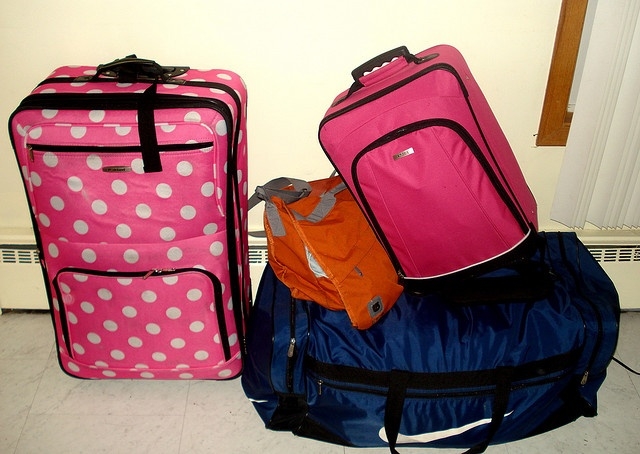 bag Object Detection Dataset by bag