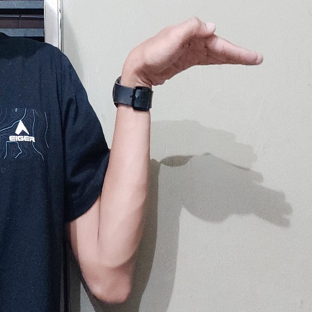 Skripsi Project Object Detection Dataset and Pre-Trained Model by Risky Revansa