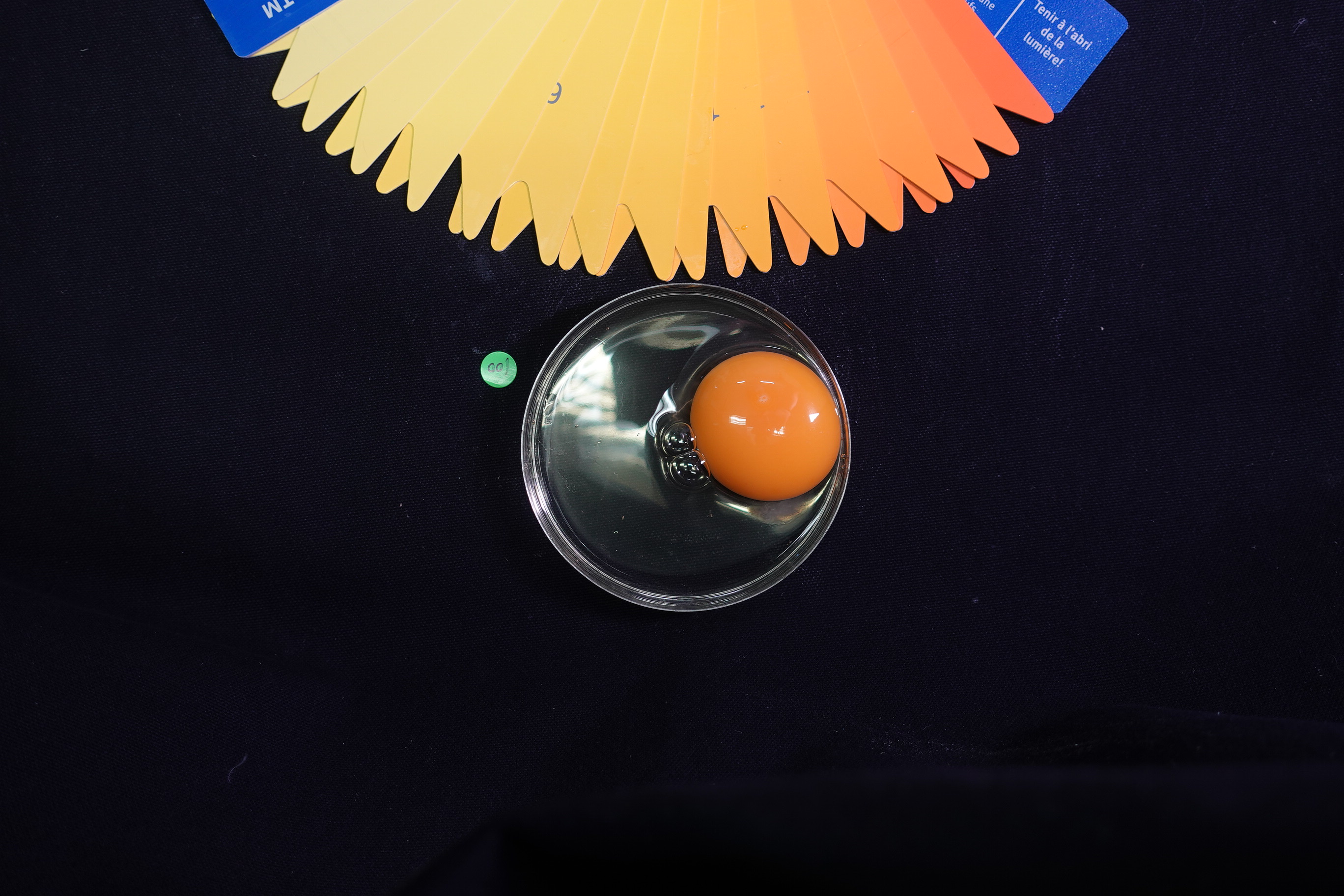 egg_retrain Object Detection Dataset by hongchen