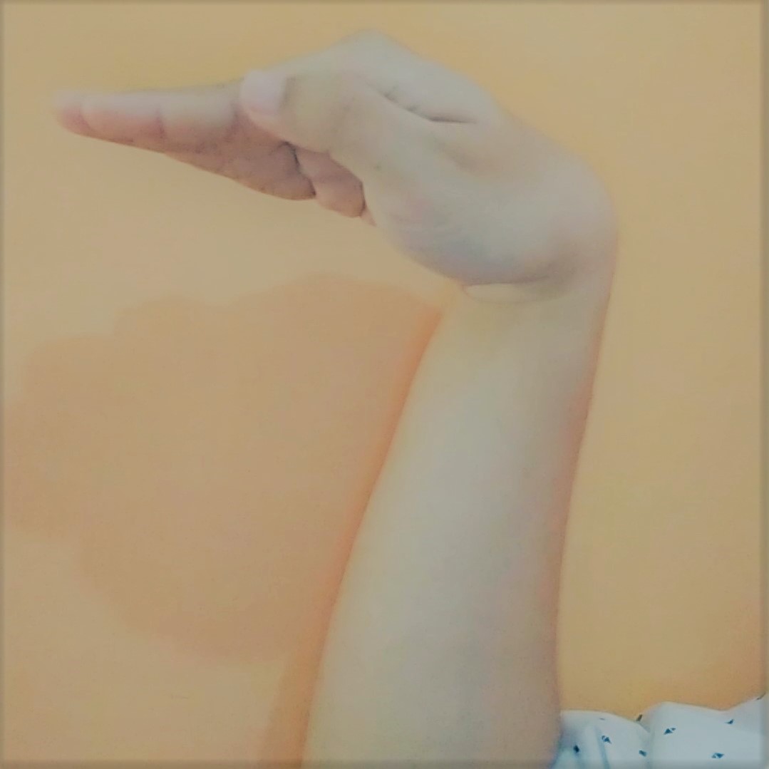 How To Use The Deteksi Bahasa Isyarat Object Detection Api