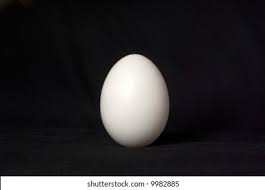 Egg project Object Detection Model by Innodatatics