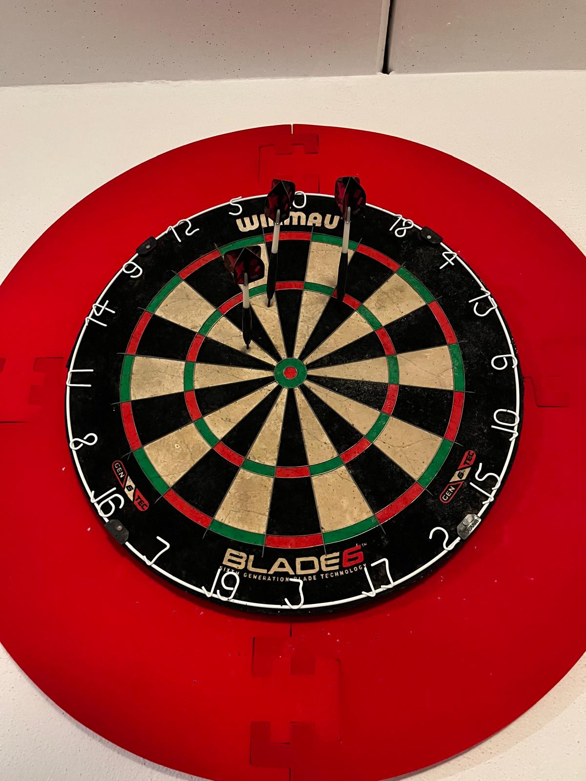 dart_segmentation Instance Segmentation Model by Daro0500