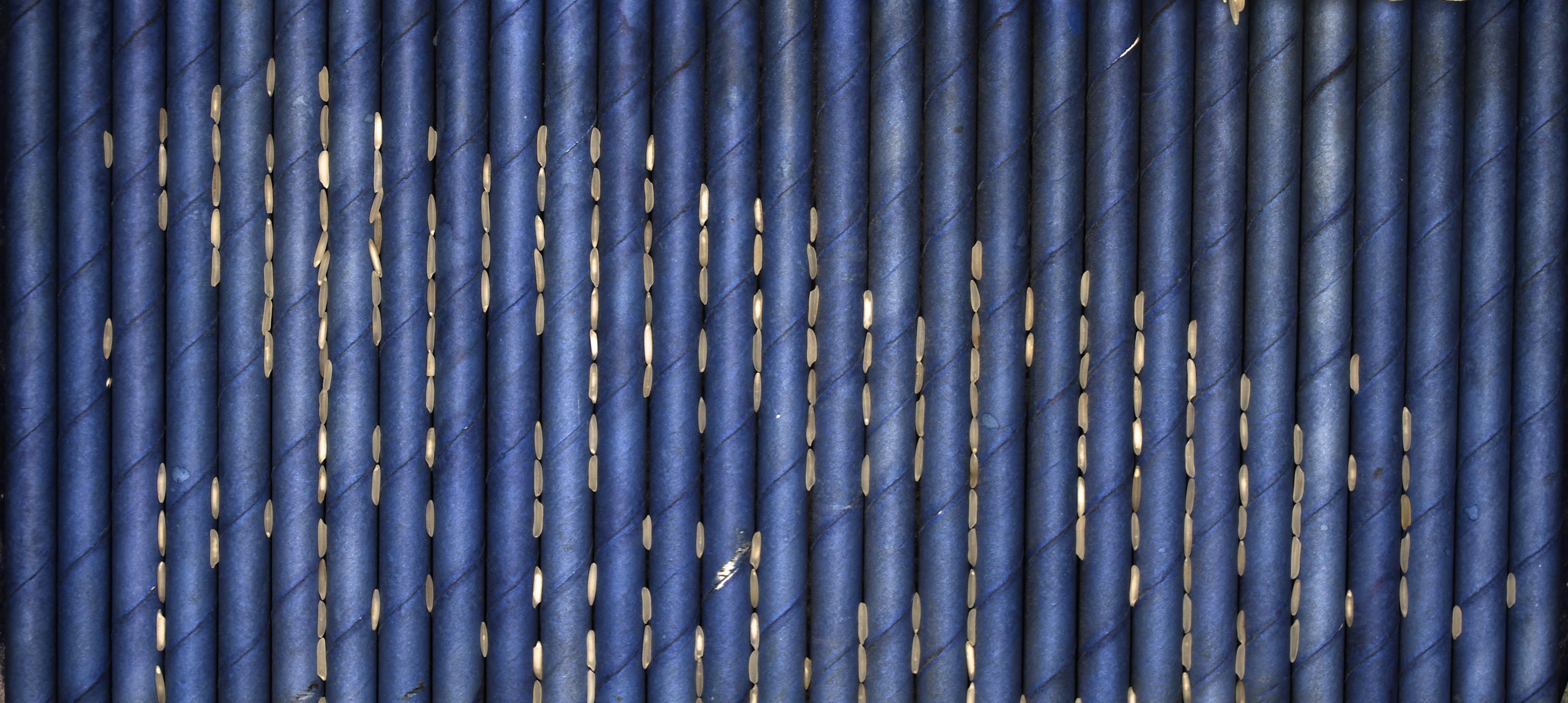 28october2024_polygon Object Detection Dataset by Yoloboundingbox