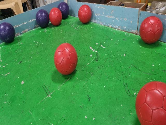 Testing Object Detection Dataset And Pre Trained Model By Robocon24